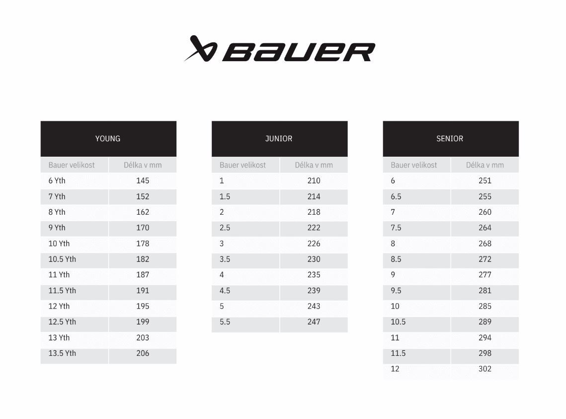 BAUER Lední brusle Bauer Whistler Rec Ice Unisex Skate 2.0 JR